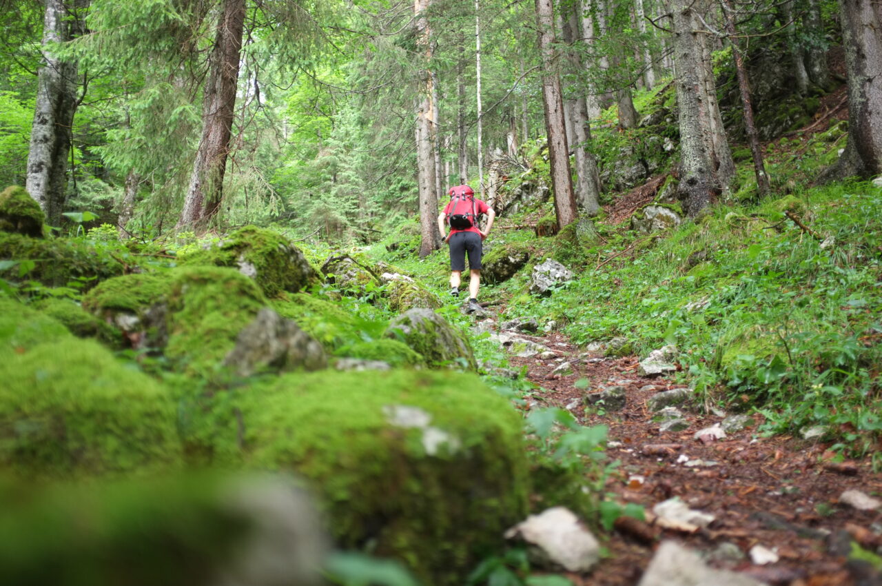 Mittenwald wandern I Bergwanderung